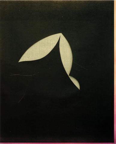 Vesperal requiem for Clairwill | Lafayette Anticipations