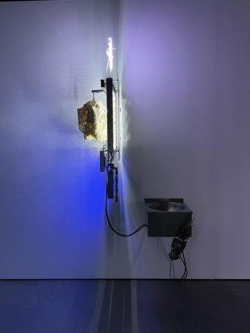 TAFAA - FERTILITY DEVICE (NUDGE FOR THE SCAPEGOAT) | Lafayette ...