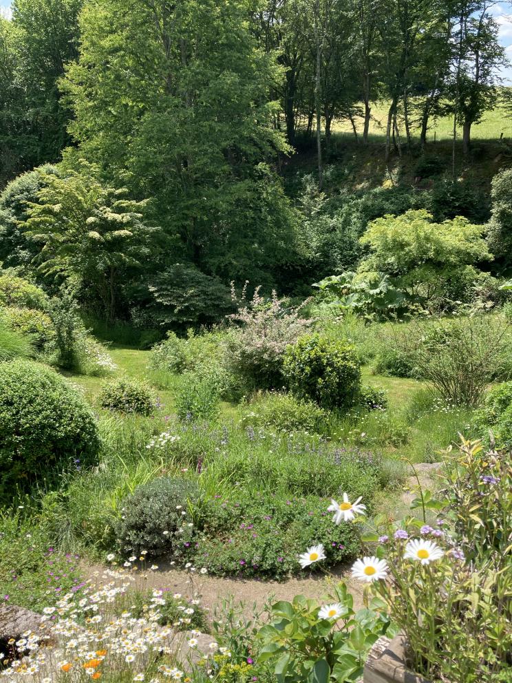 Encounter with Gilles Clément | Lafayette Anticipations