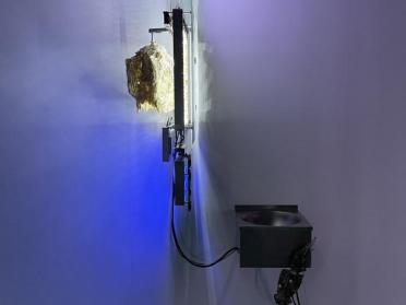 TAFAA - FERTILITY DEVICE (NUDGE FOR THE SCAPEGOAT) | Lafayette ...